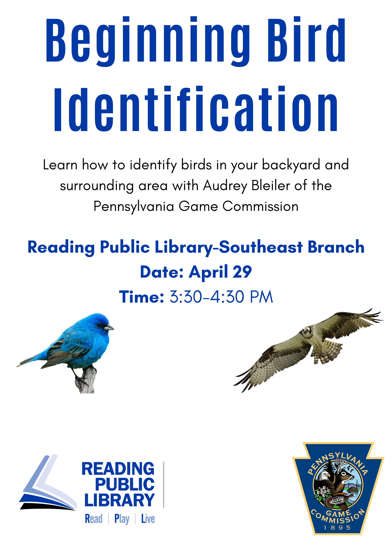 Beginning Bird Identification - Reading Public Library