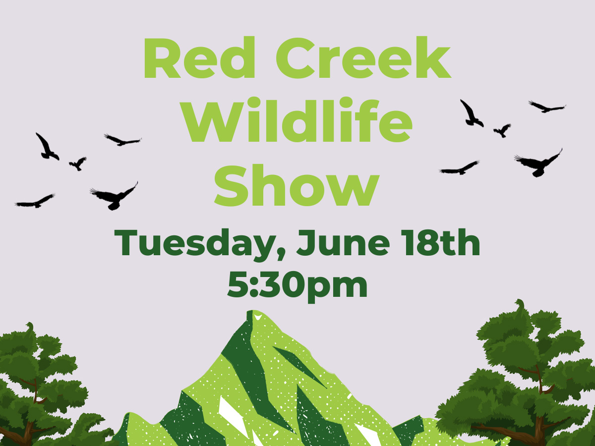 Read. Play. Live. | Reading Public Library | Reading, PA