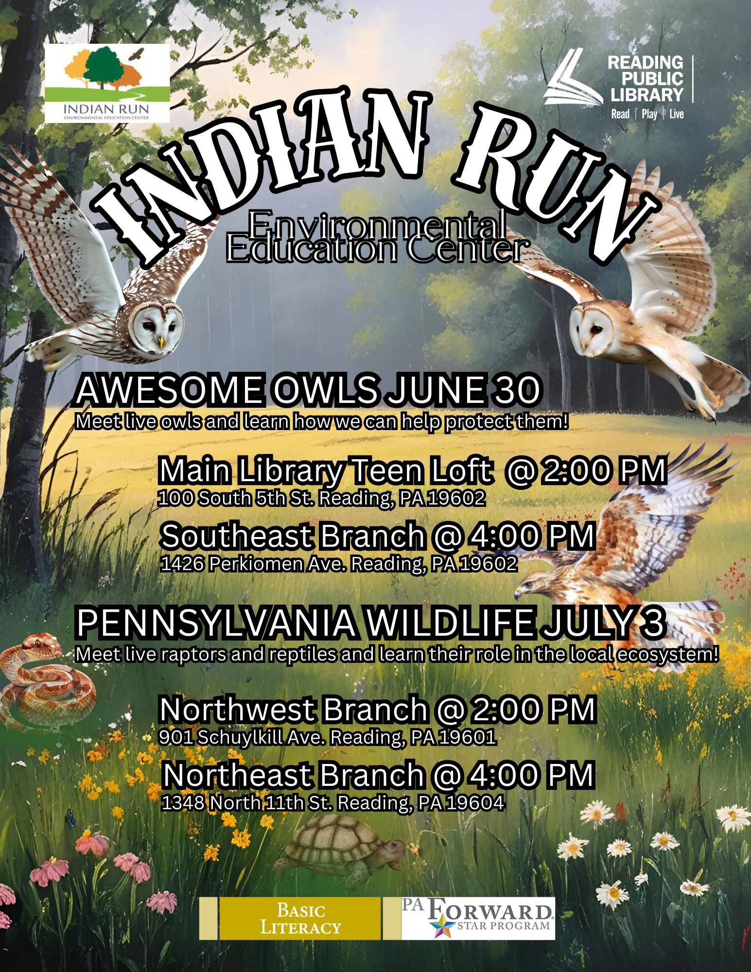 Indian Run’s Awesome Owls - Reading Public Library